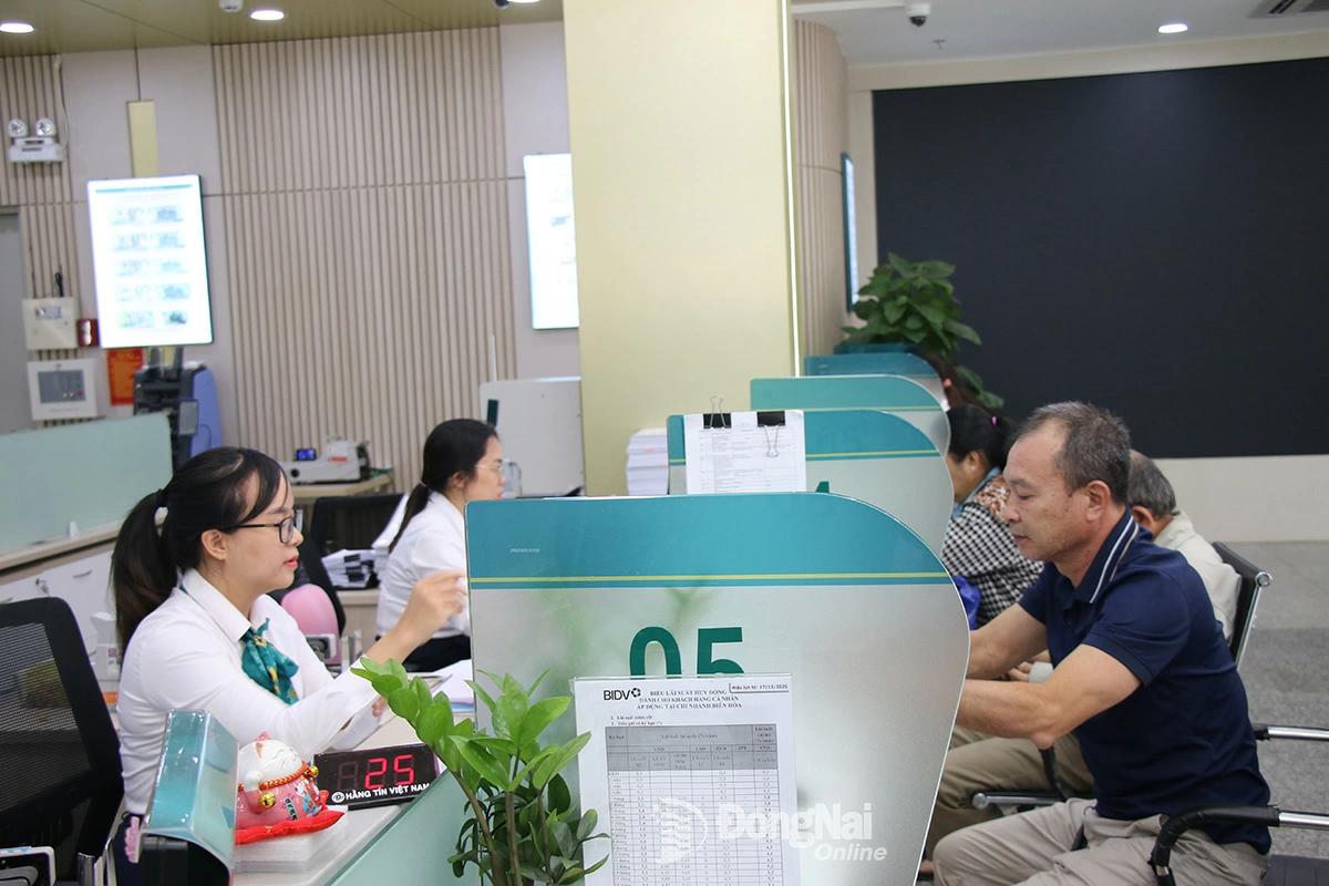 Deploying credit capital for production activities - Báo Đồng Nai điện tử